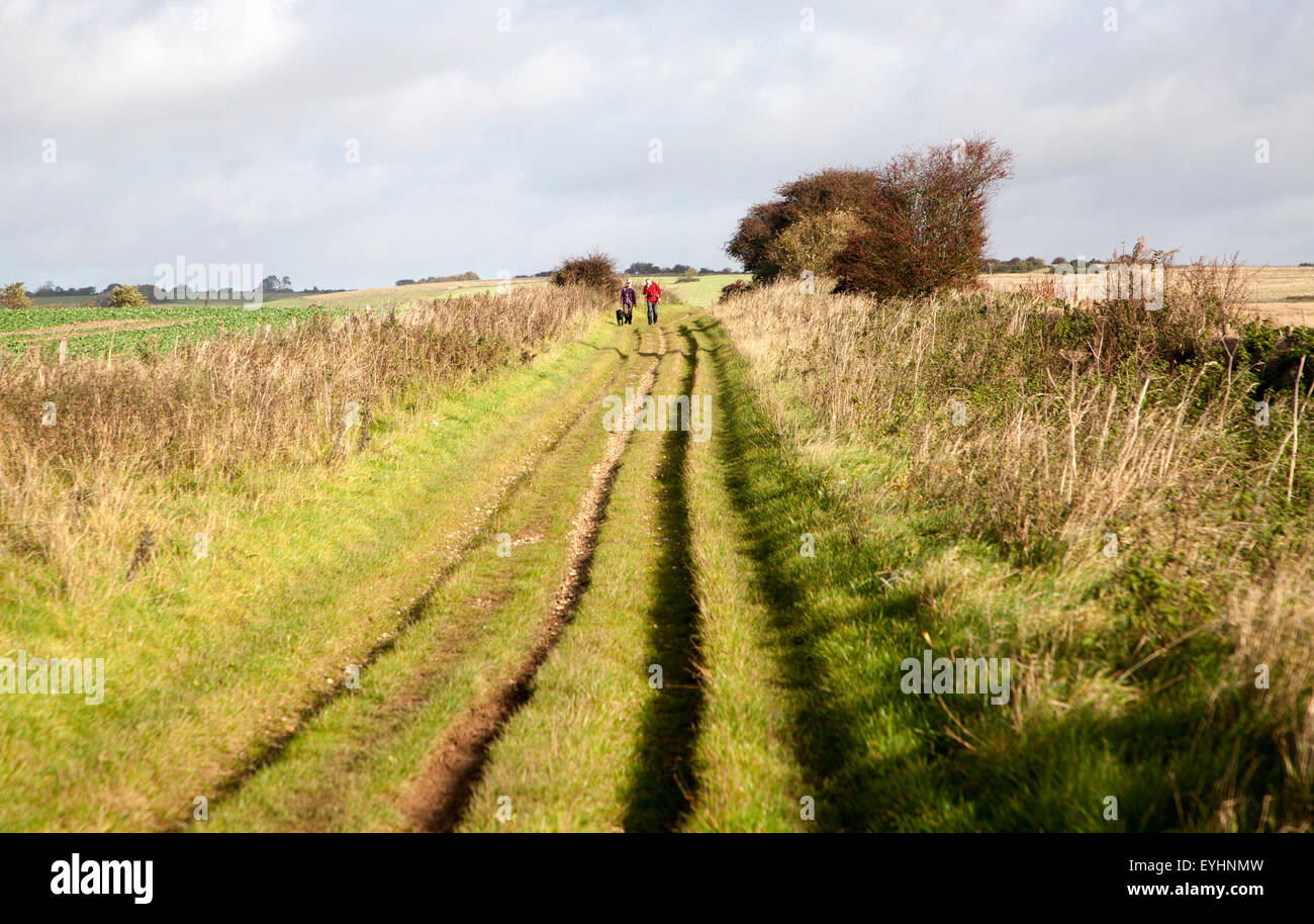 The Ridgeway long distance footpath dating from prehistory on Overton ...