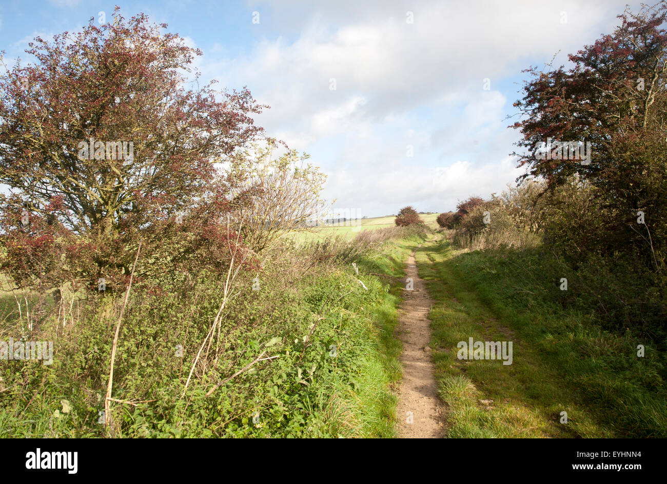The Ridgeway long distance footpath dating from prehistory on Overton ...