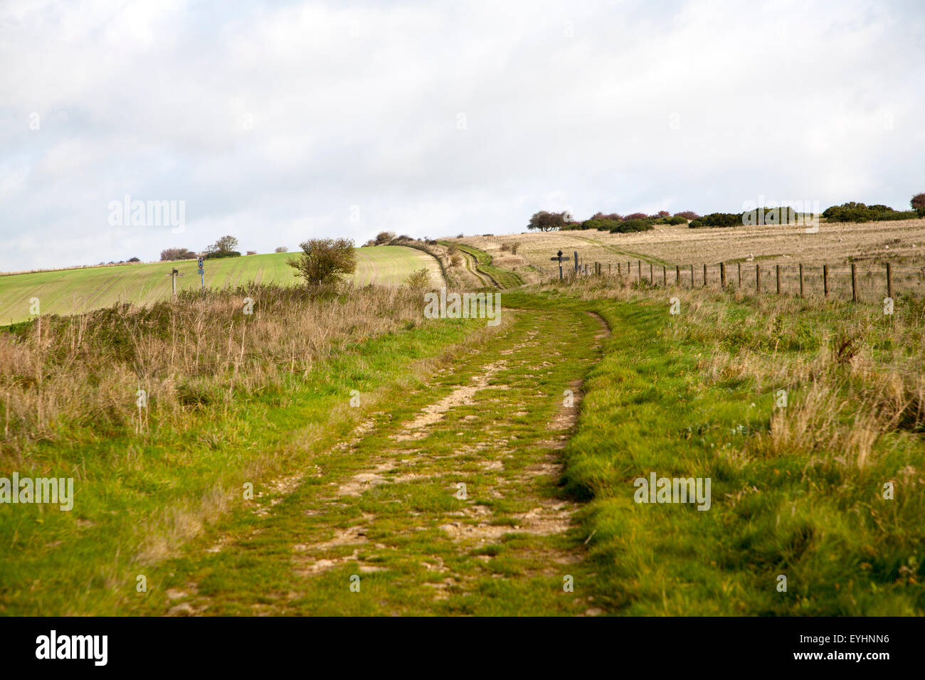 The Ridgeway long distance footpath dating from prehistory on Overton ...