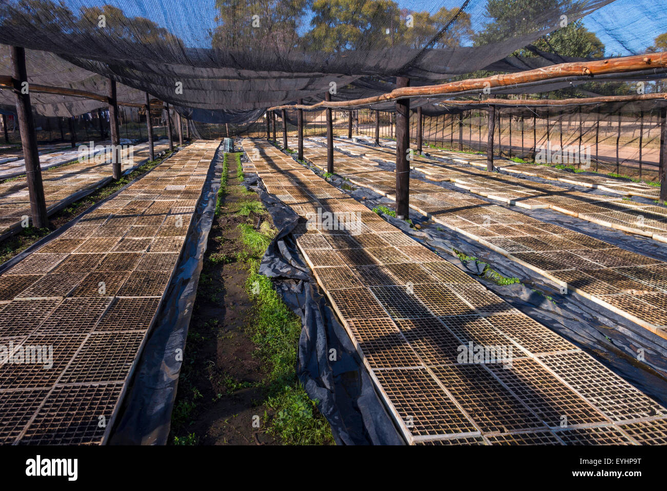 High house nursery hi-res stock photography and images - Alamy