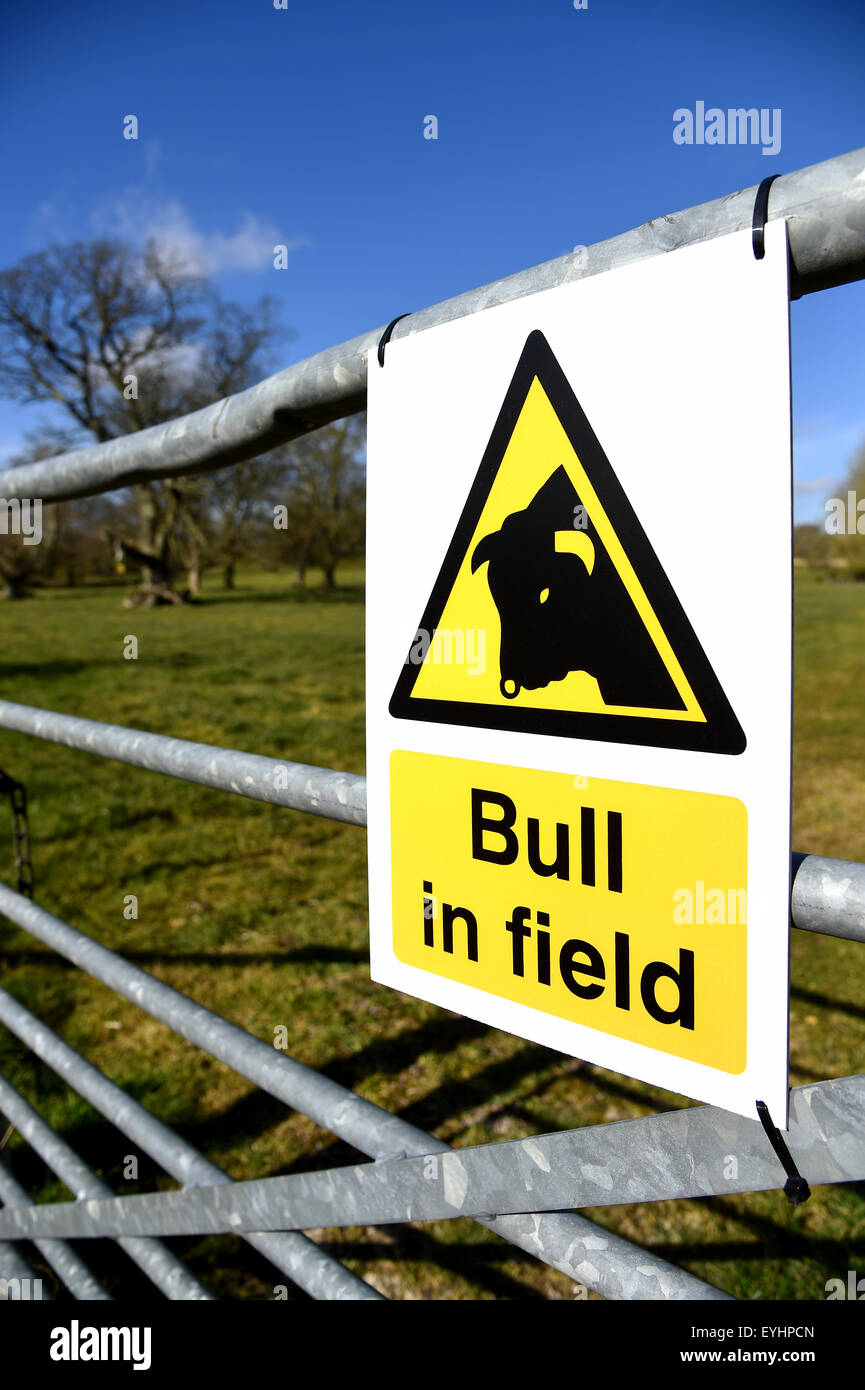 Bull in field warning sign, Britain, UK Stock Photo - Alamy