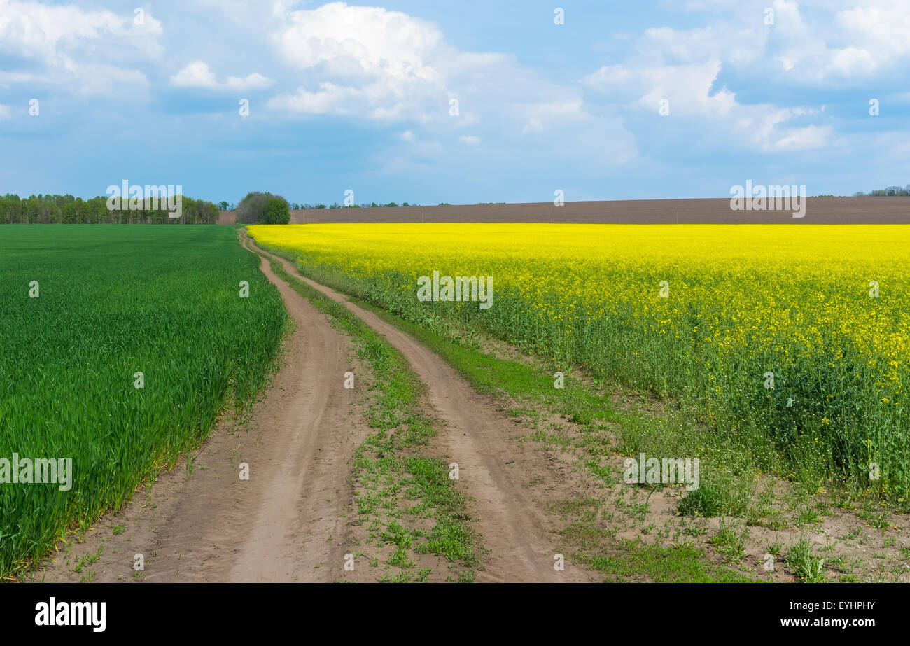 Spring landscape with farm fields in central Ukraine Stock Photo - Alamy