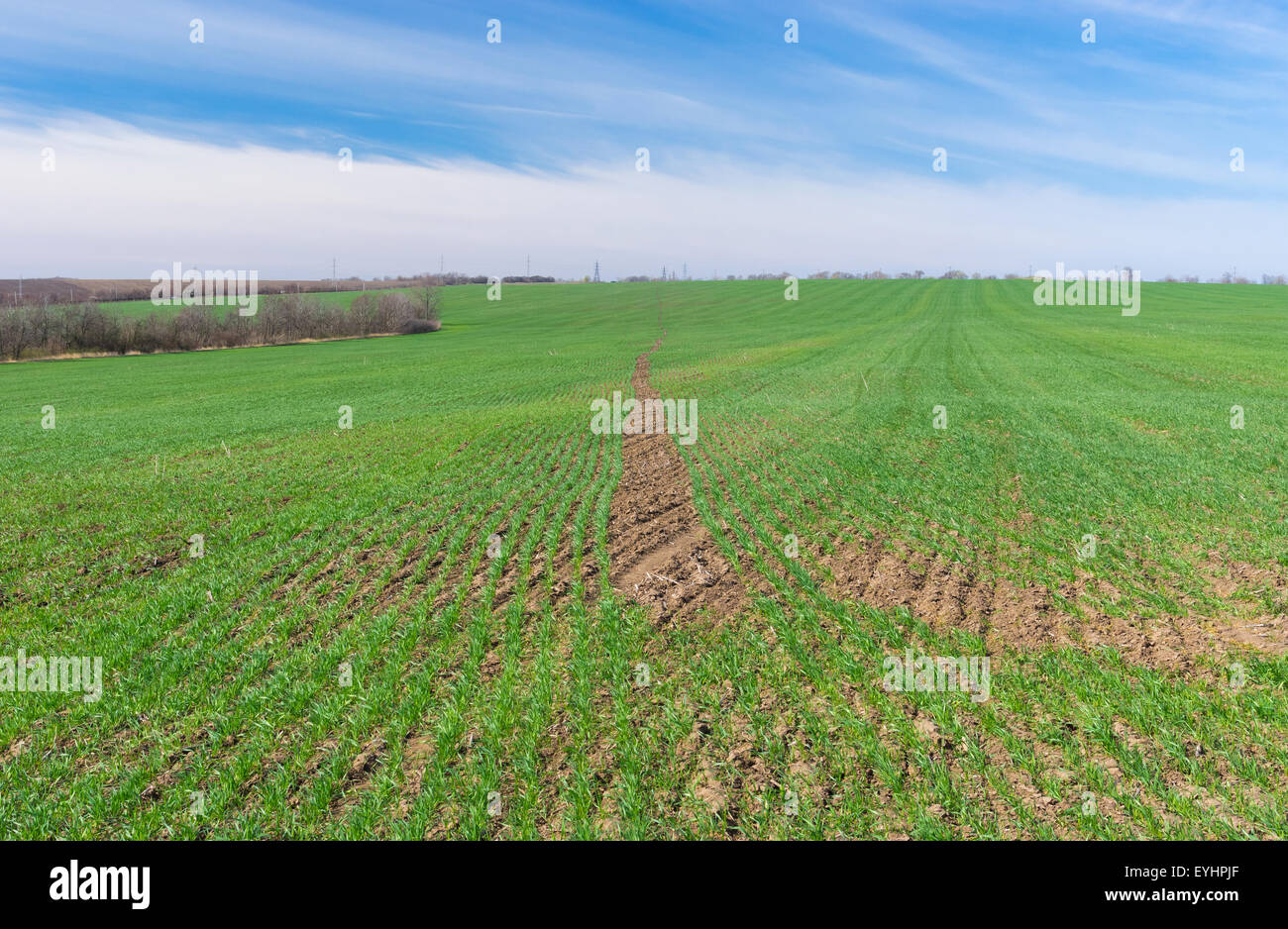 Ukrainian spring hi-res stock photography and images - Alamy