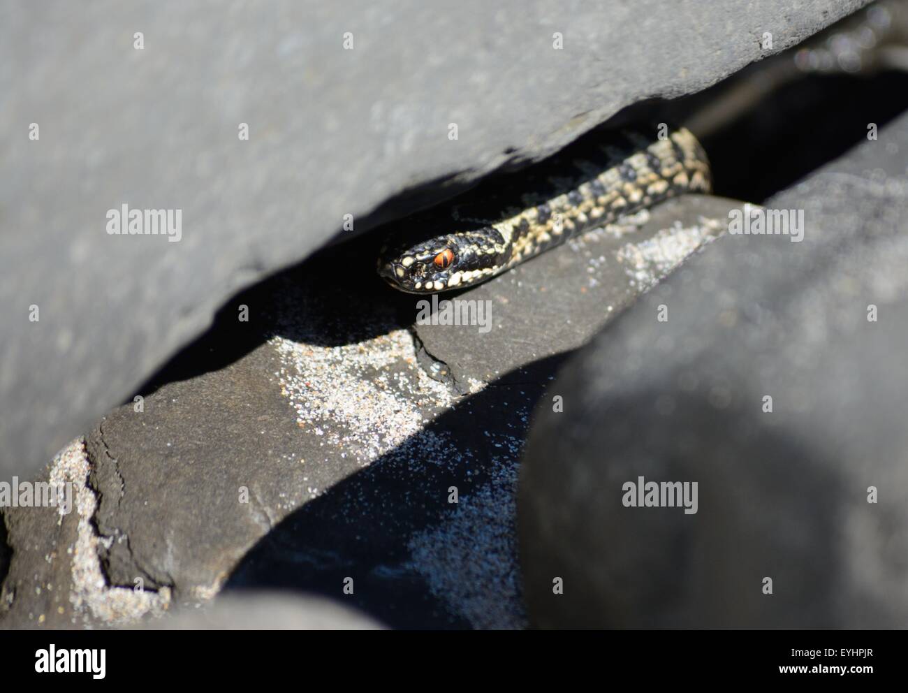 Diamond rocks hi-res stock photography and images - Alamy
