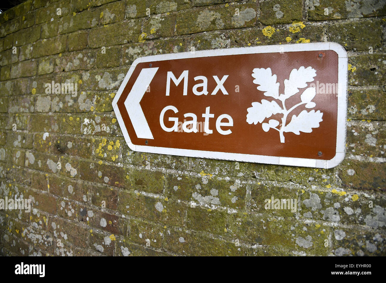 Thomas hardy dorchester hi-res stock photography and images - Alamy