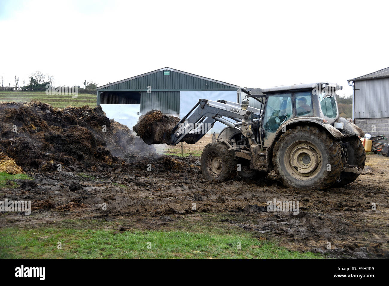 Tractors move manure for spreading on a farm, UK Stock Photo - Alamy