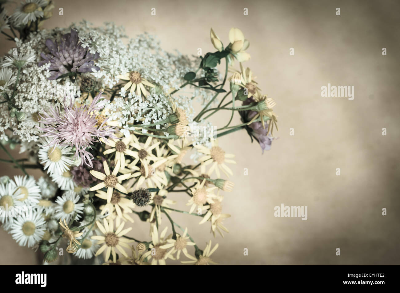 Bunch of wildflowers hi-res stock photography and images - Alamy