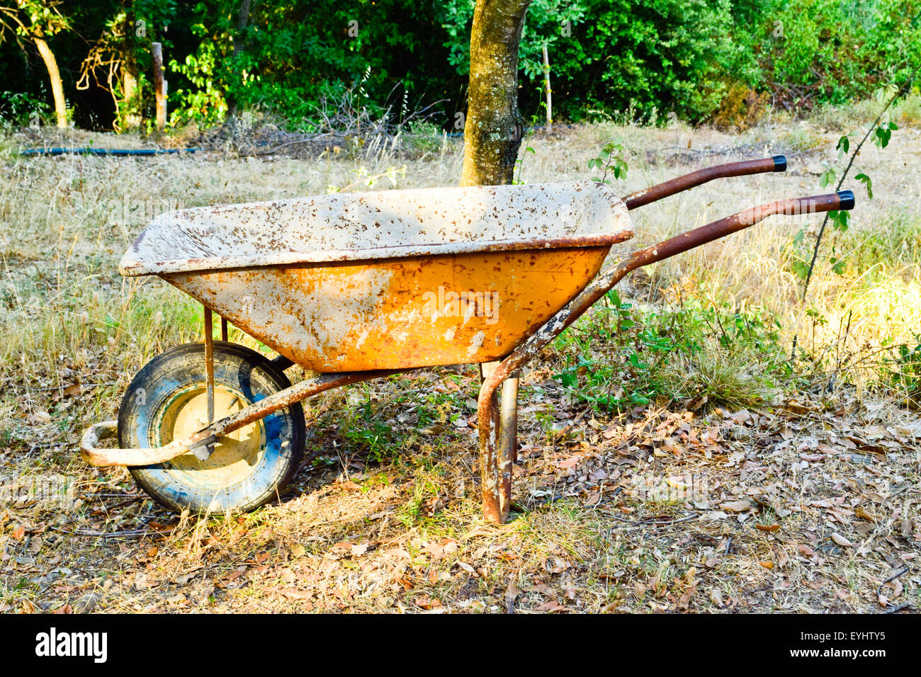 Empty old wheelbarrow in a garden Stock Photo - Alamy
