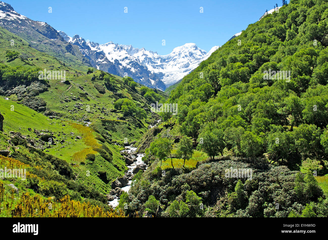 Kulu Landscape, Himachal Pradesh, India Stock Photo - Alamy