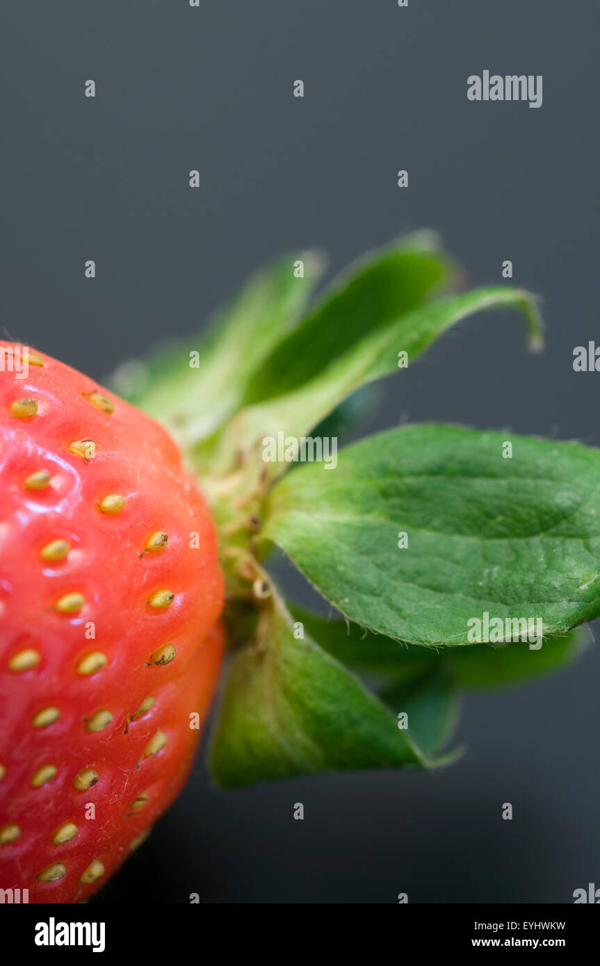 strawberry with leaves Stock Photo - Alamy