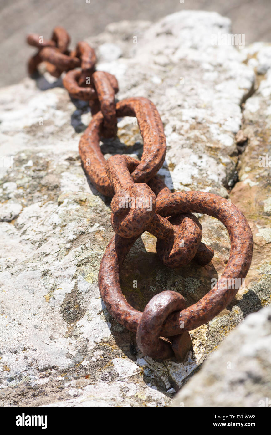 Trailing link hi-res stock photography and images - Alamy