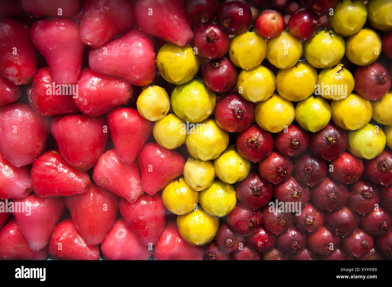 Quatre Bornes, Mauritius. Red Jamalac, Chinese guava and yellow beach ...