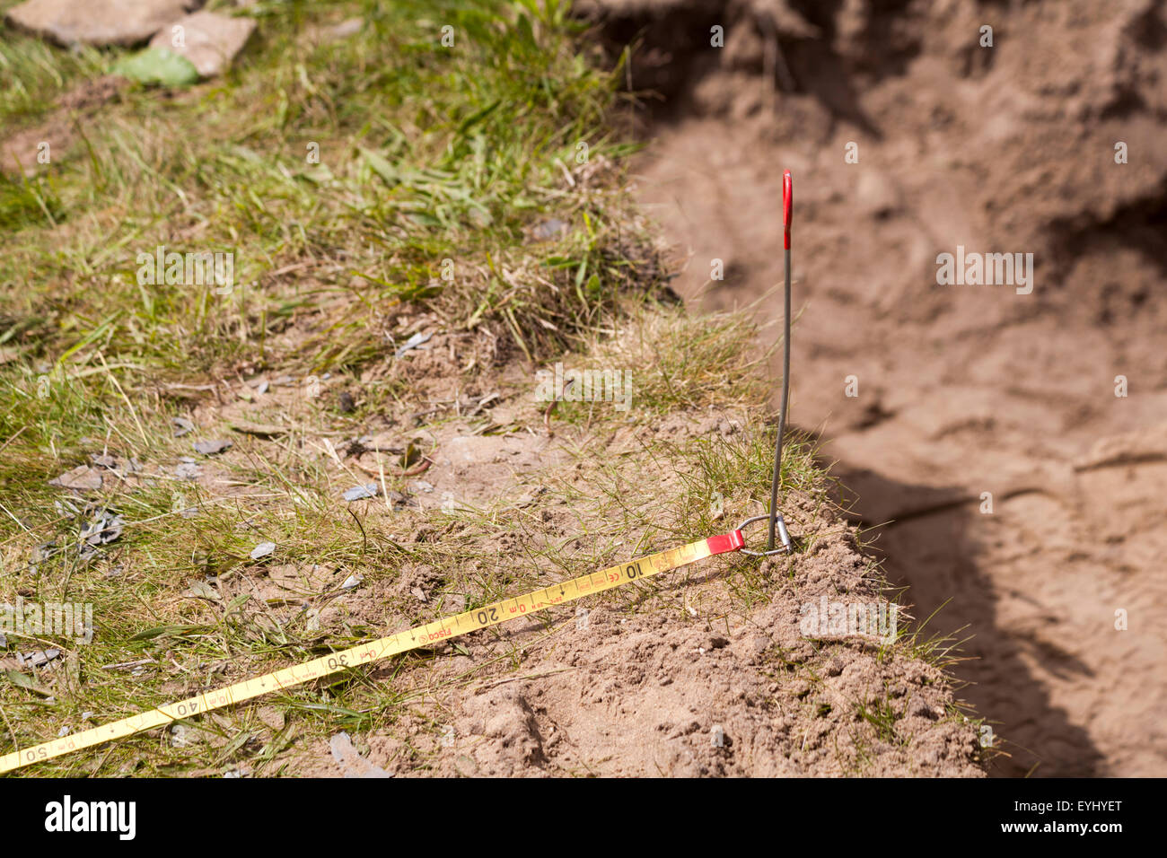 Pinned To The Ground