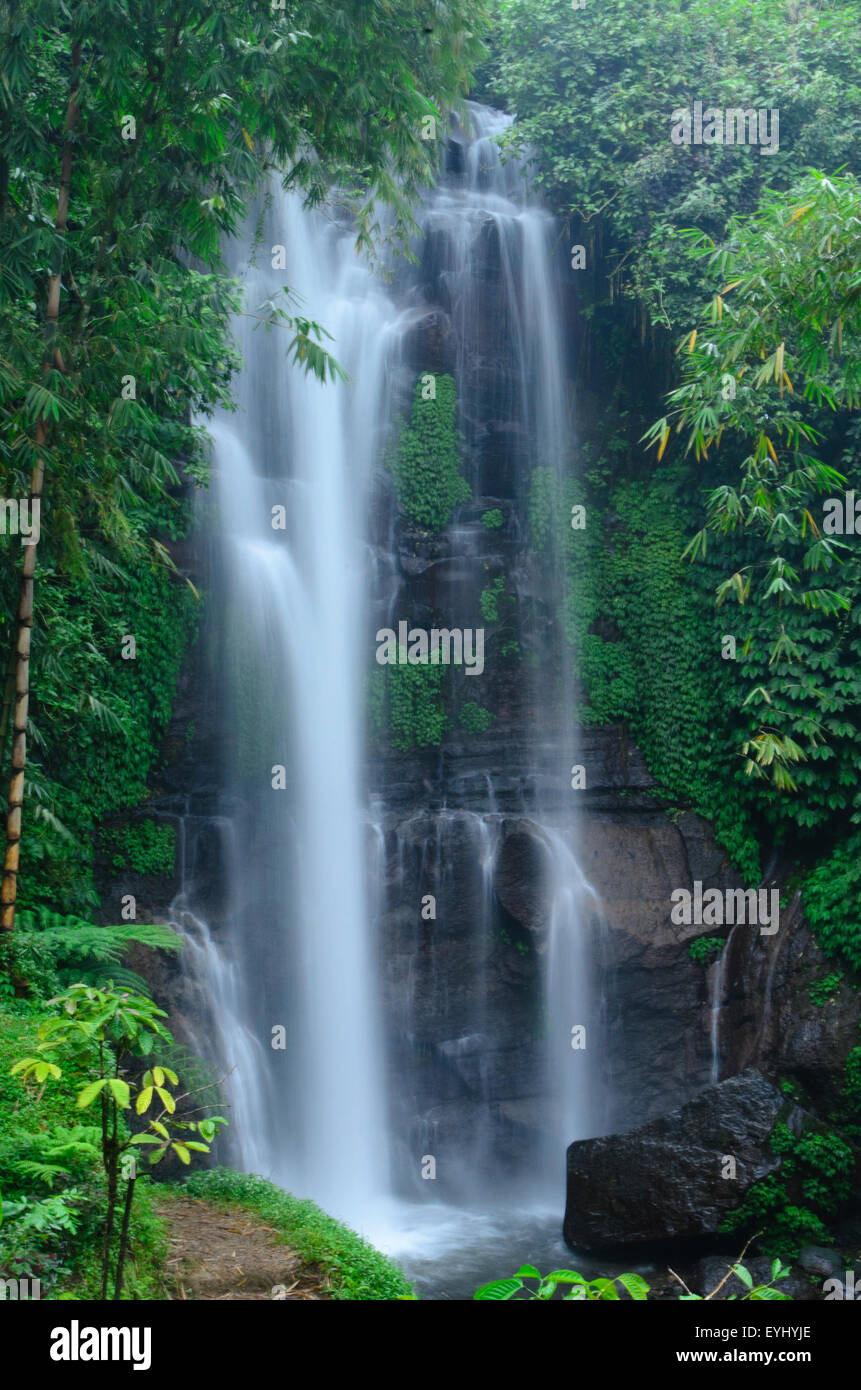 The beautiful Munduk Waterfall in the highlands of central Bali near ...