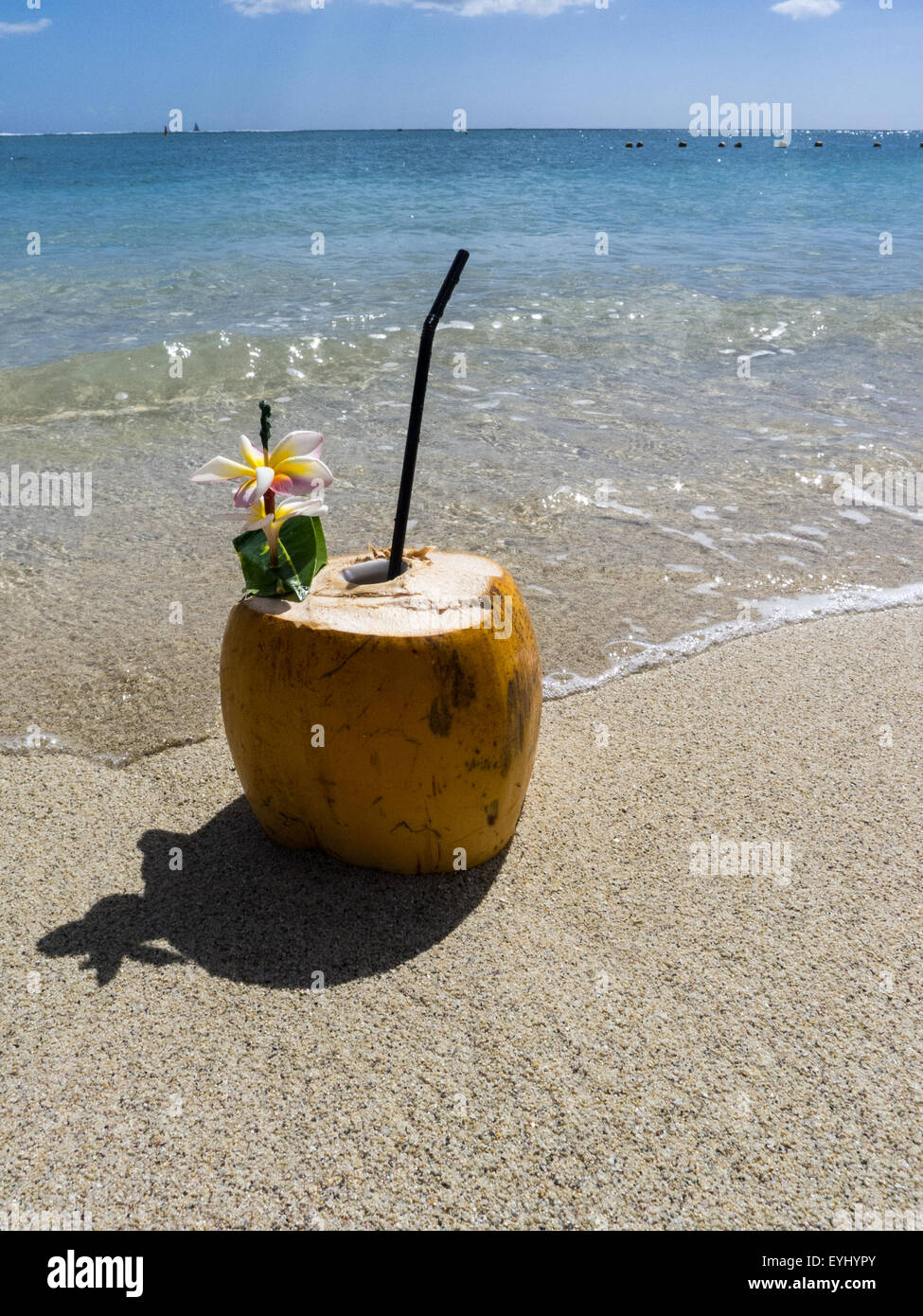Flic en Flac, Mauritius. La Pirogue tourist resort. Coconut cocktail on ...