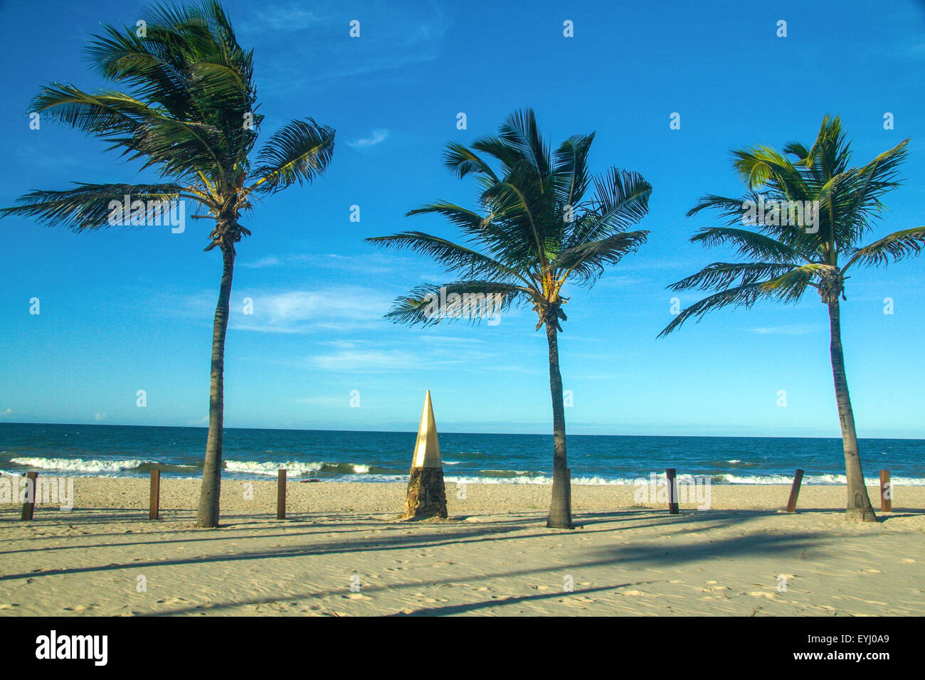 A line of coconut palm trees in Beach Park, Fortaleza, Ceará, Brazil ...