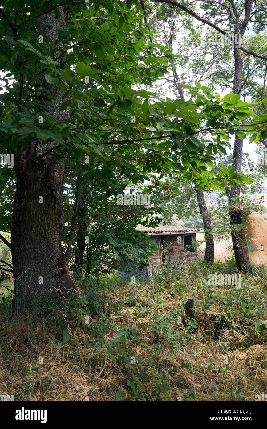rundown shack in the woods Stock Photo - Alamy