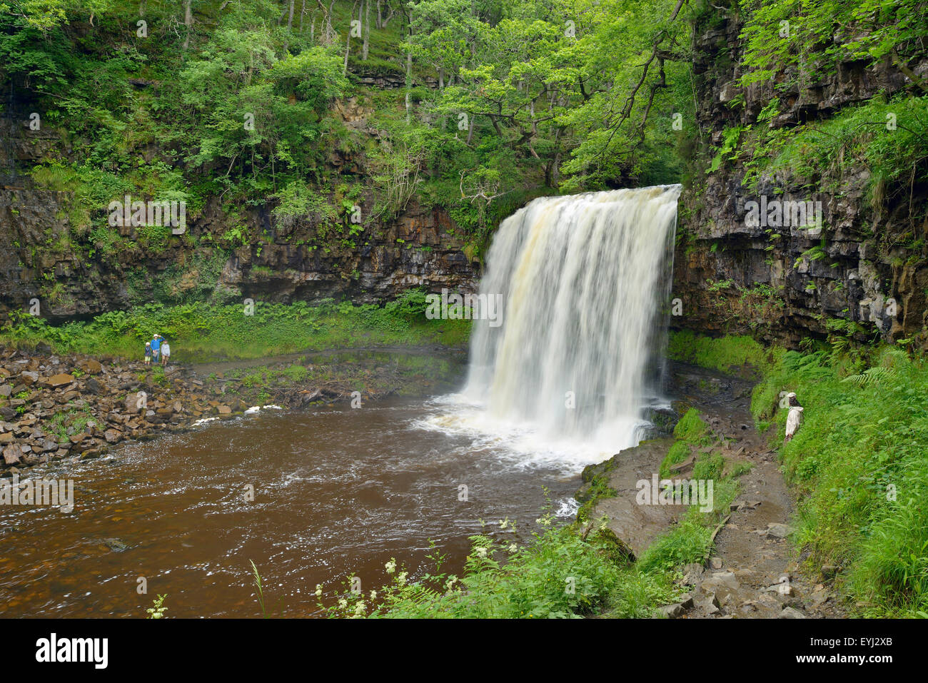 Afon Hepste & Sgwd yr Eira Waterfall Brecon Beacons, Wales Stock Photo ...