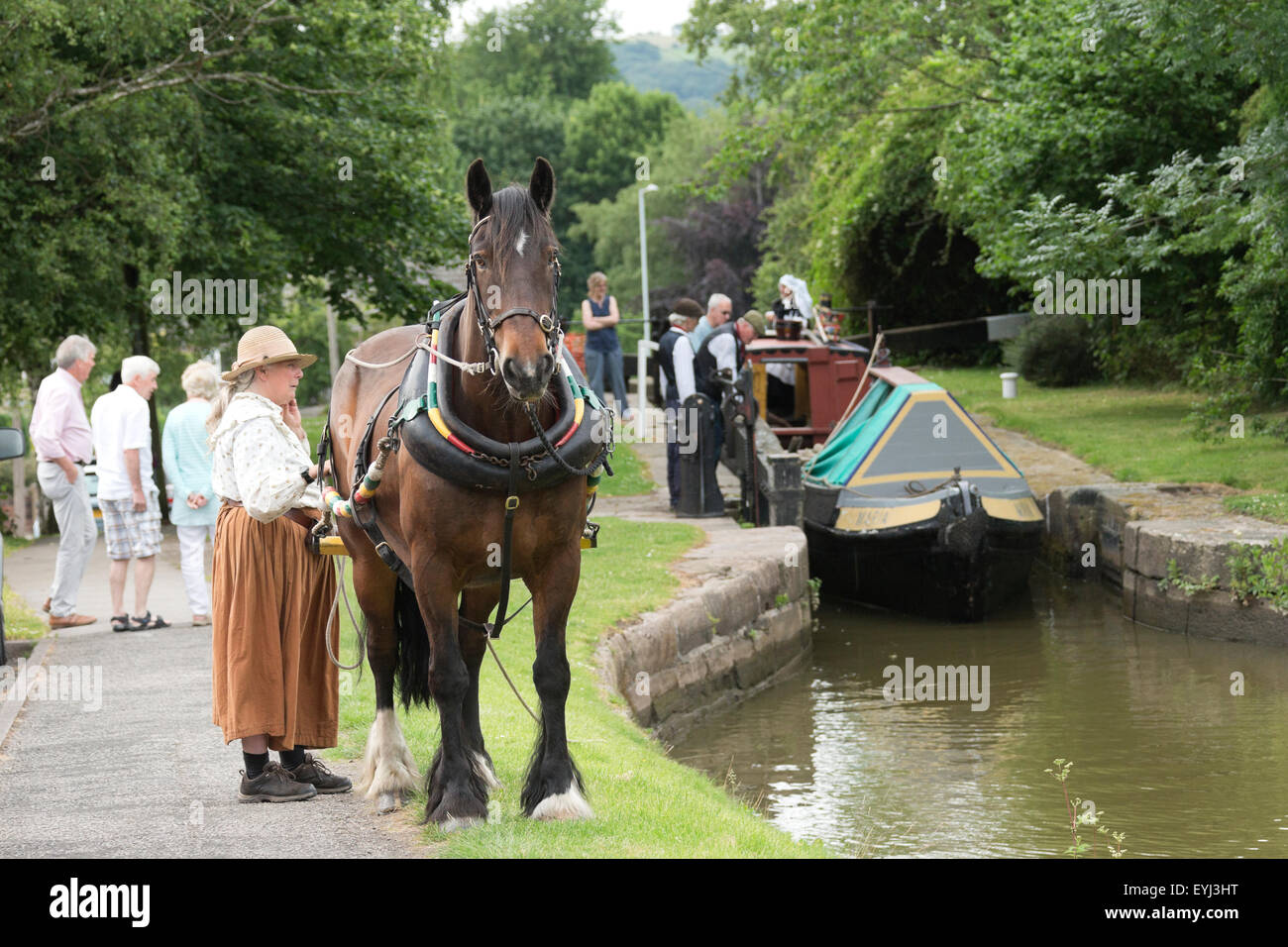 ancient rare tradition horse boat pull England UK Stock Photo - Alamy