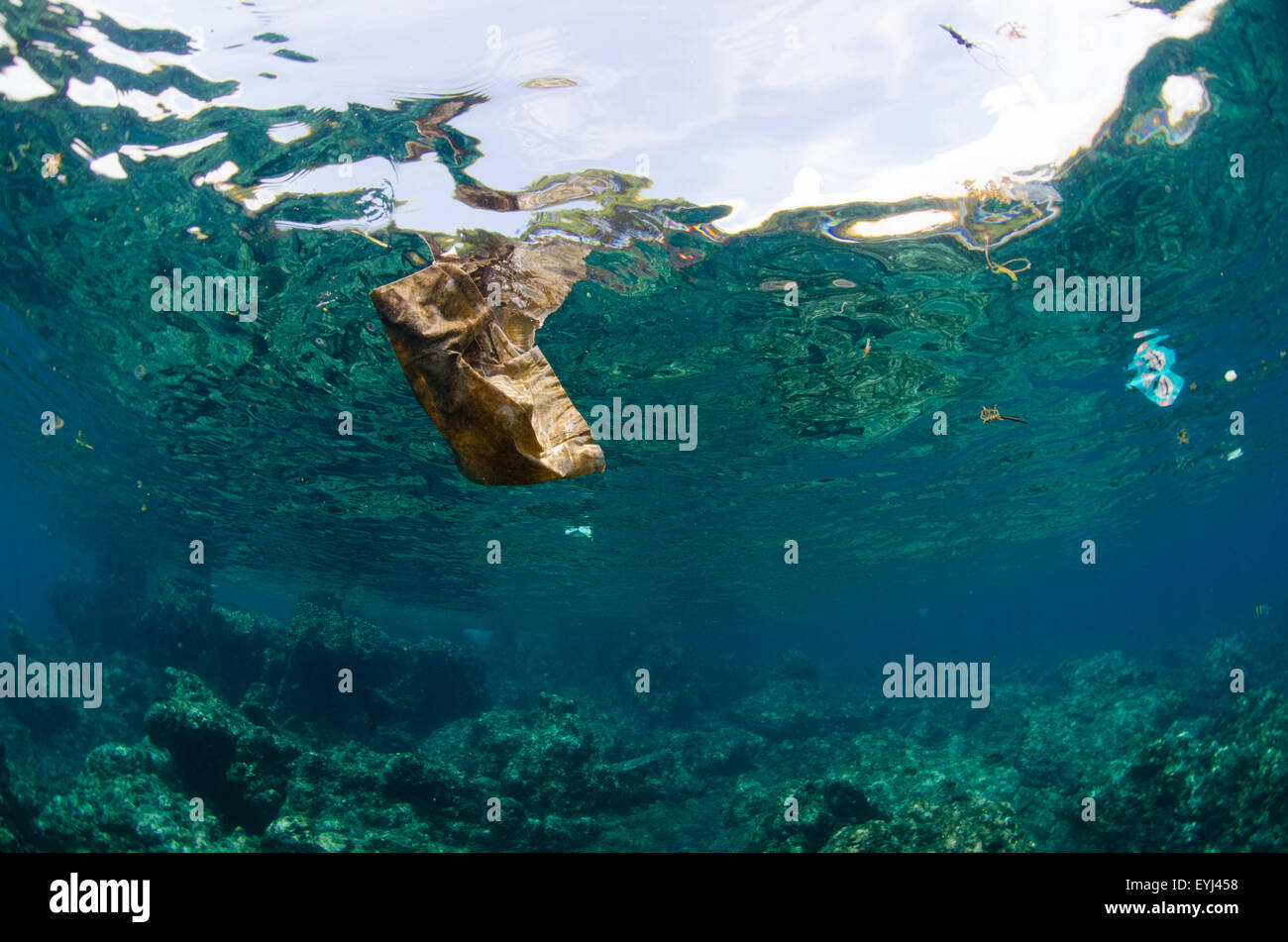Debris floating in the water column including plastic and other garbage ...