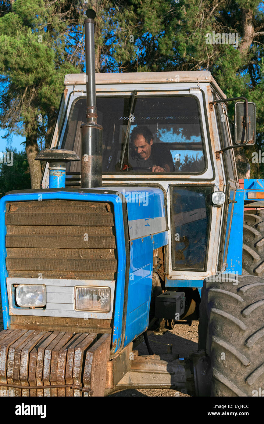 Man driving farm tractor Stock Photo - Alamy