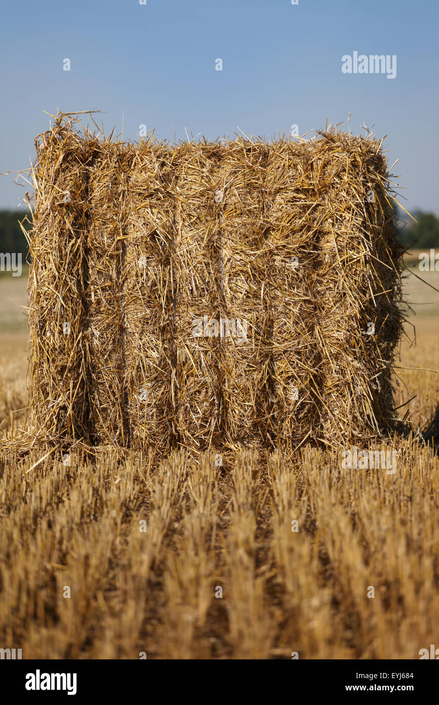 Hay lines hi-res stock photography and images - Alamy