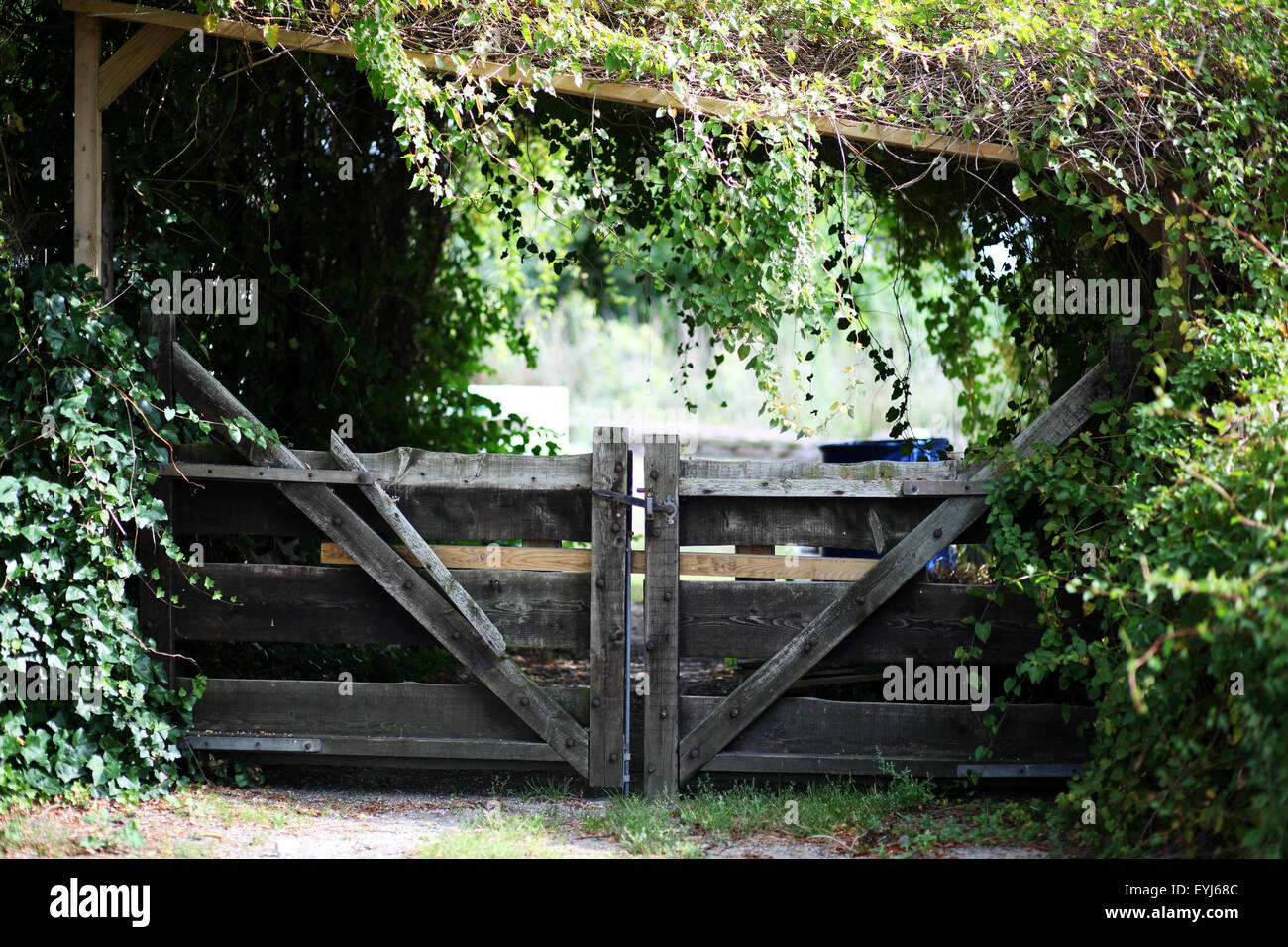Fantasy hideaway. Wooden adventurous secret garden gate Stock Photo - Alamy