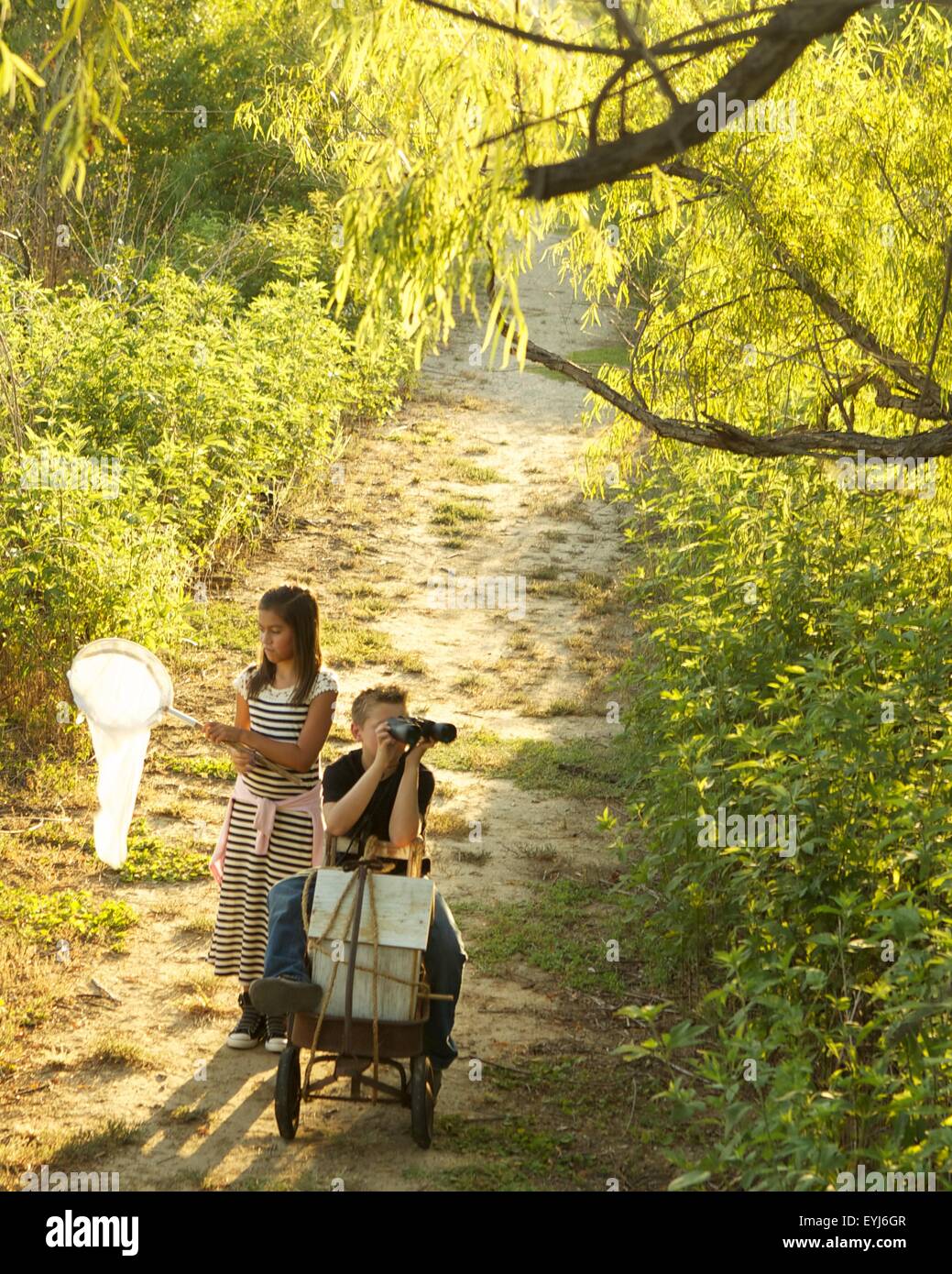 Birds eye view of a butterfly hi-res stock photography and images - Alamy