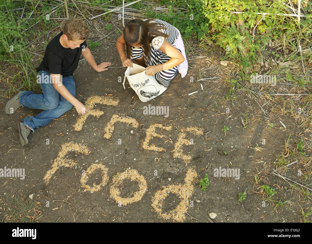 friends catching birds with bird food Stock Photo - Alamy