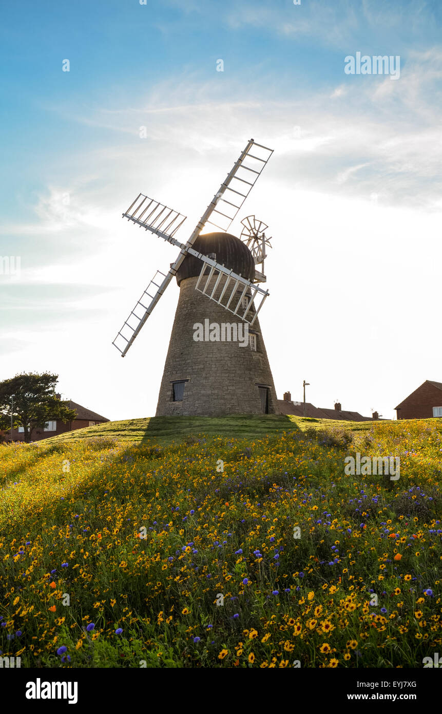 Whitburn Windmill, c.1790, Historic Windmill Situated in Whitburn ...