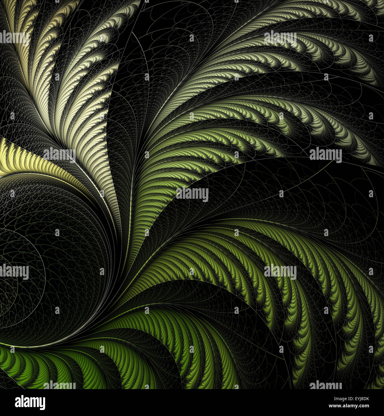 Fractal leaf hi-res stock photography and images - Alamy