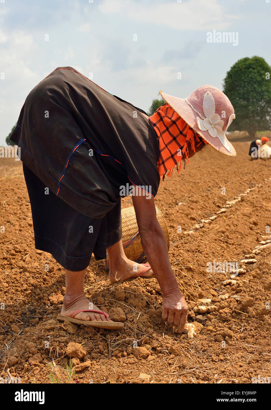 Female bent double hi-res stock photography and images - Alamy