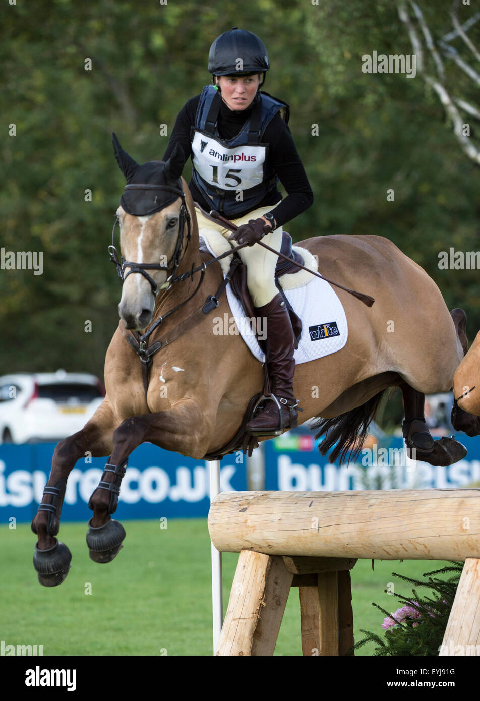 Helen wilson horse hi-res stock photography and images - Alamy