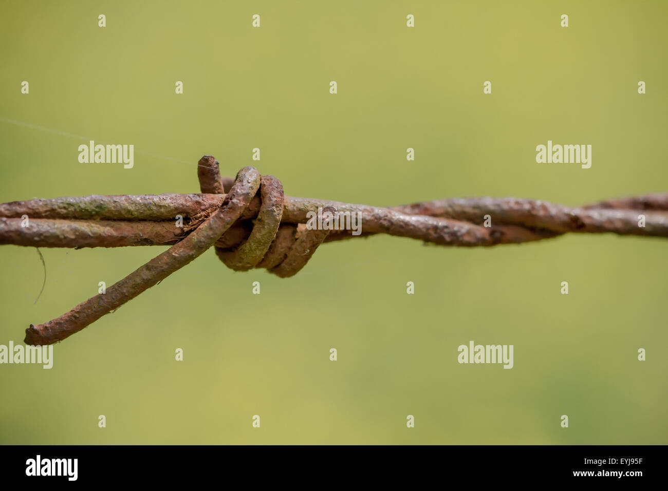 Silhouette barbed wire hi-res stock photography and images - Alamy