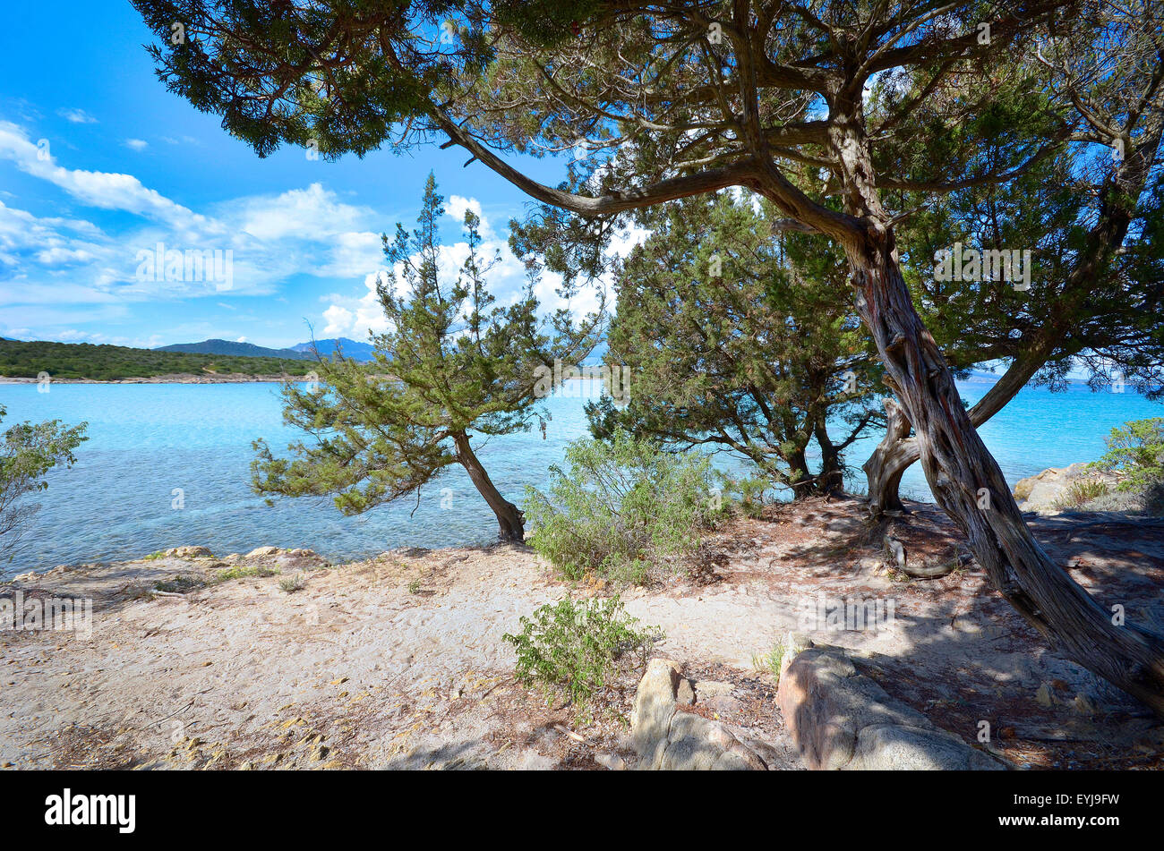 Sardinia, Italy: beach of Cala Sabina near Golfo Aranci Stock Photo - Alamy