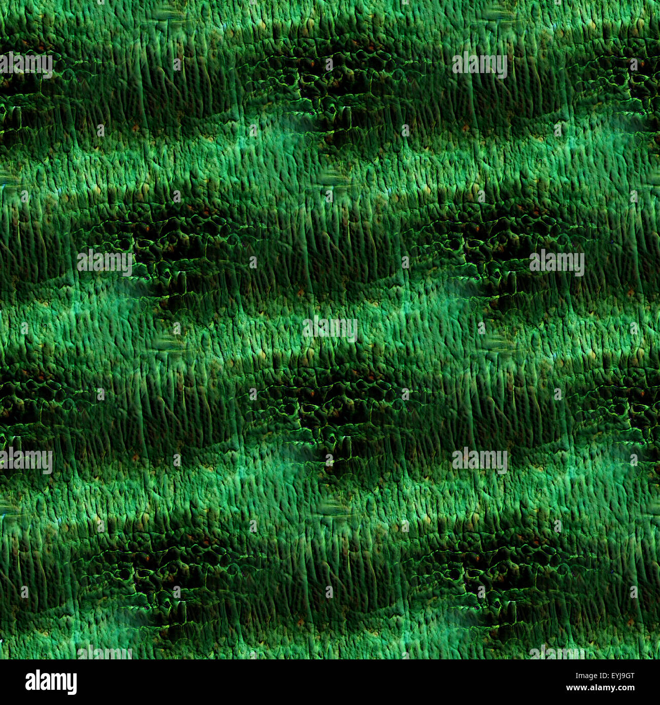 Crocodile skin seamless texture hi-res stock photography and images - Alamy