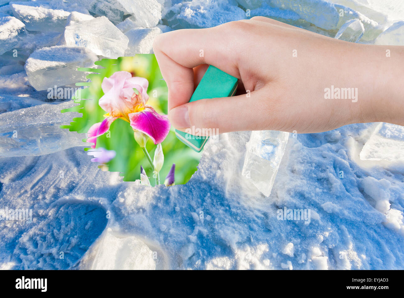 weather concept - hand deletes ice and snow by rubber eraser from image ...