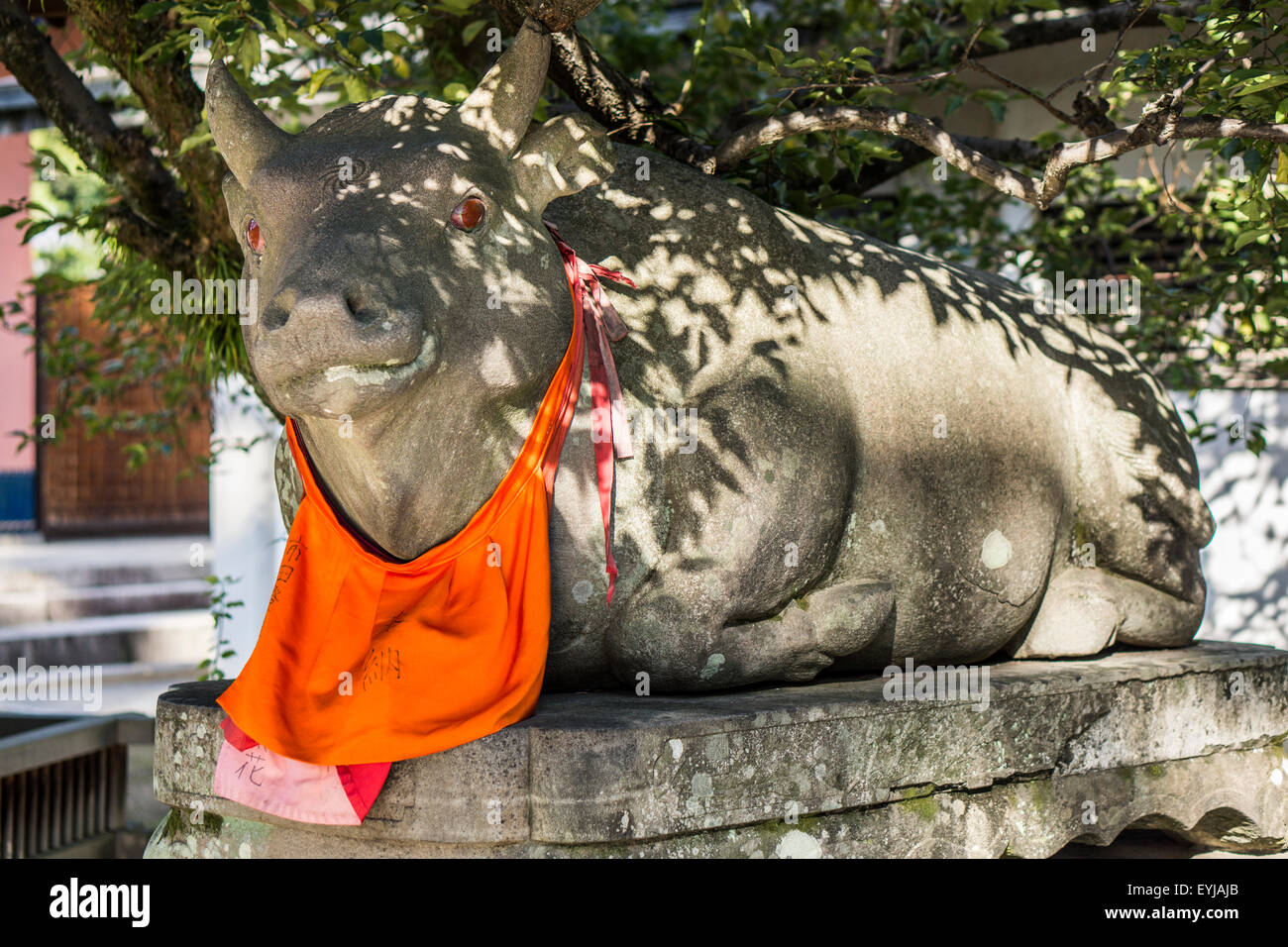 Cow Worship High Resolution Stock Photography and Images - Alamy
