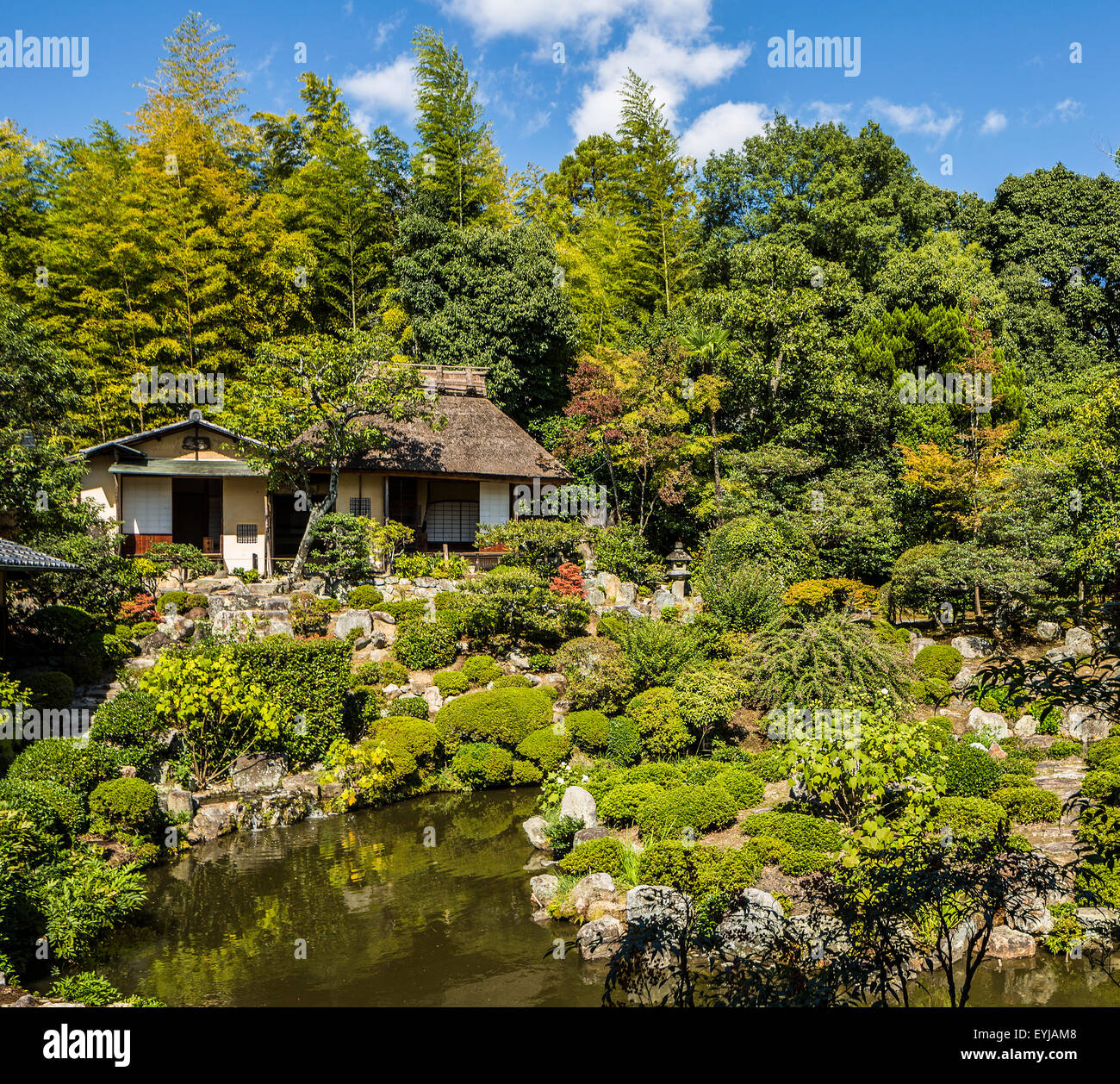 Kyoto Toji Temple High Resolution Stock Photography and Images - Alamy