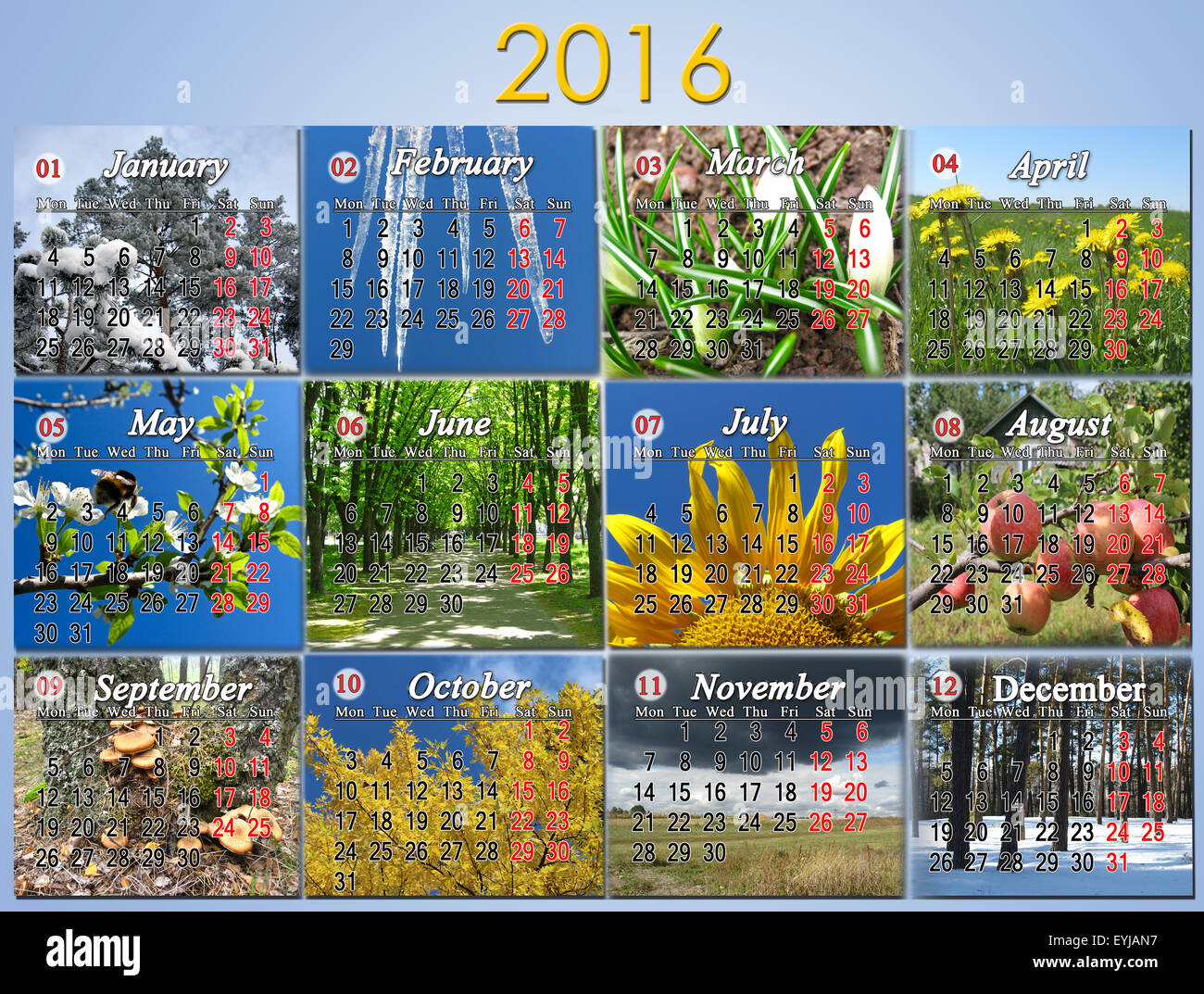 calendar for 2016 in English with photo of nature for every month ...