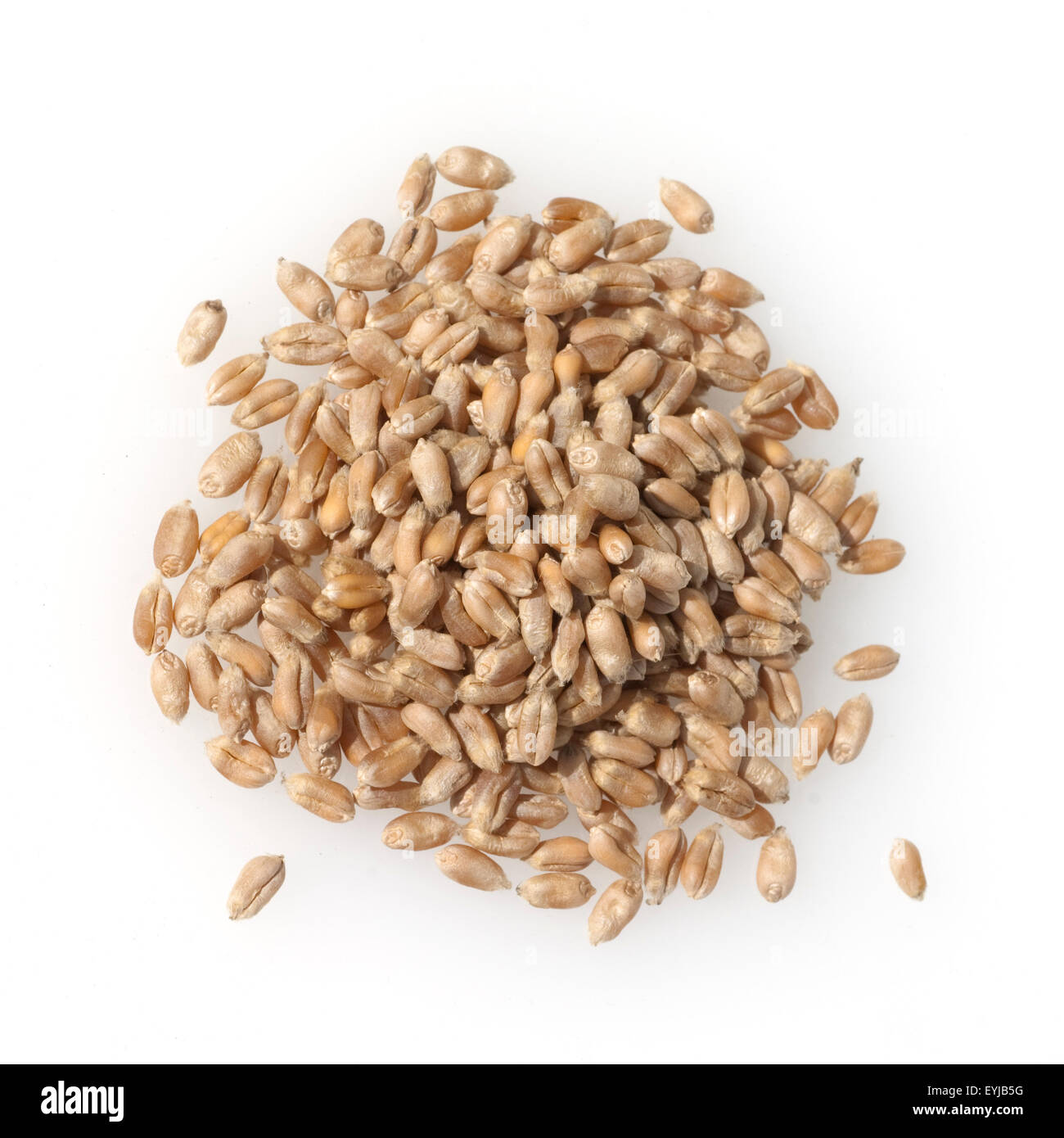 Kreuzung crossing Cut Out Stock Images & Pictures - Alamy