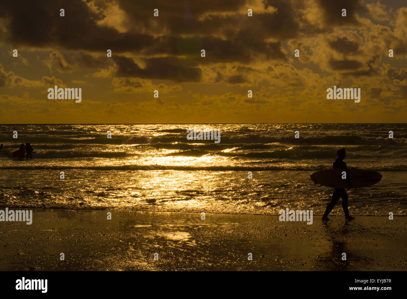 Surfer on Beach at sunset Stock Photo - Alamy