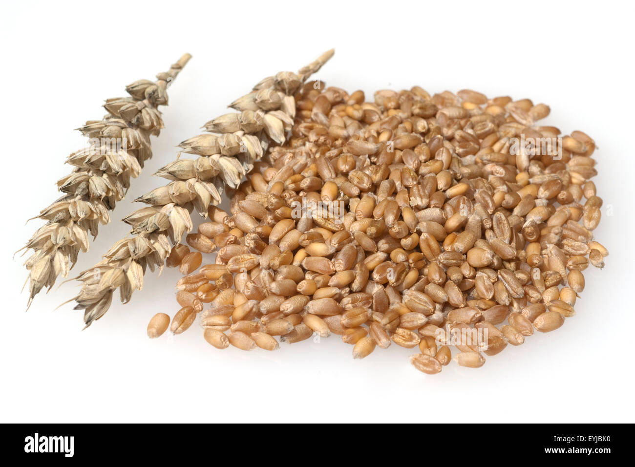 Weizen Getreide Cut Out Stock Images & Pictures - Alamy