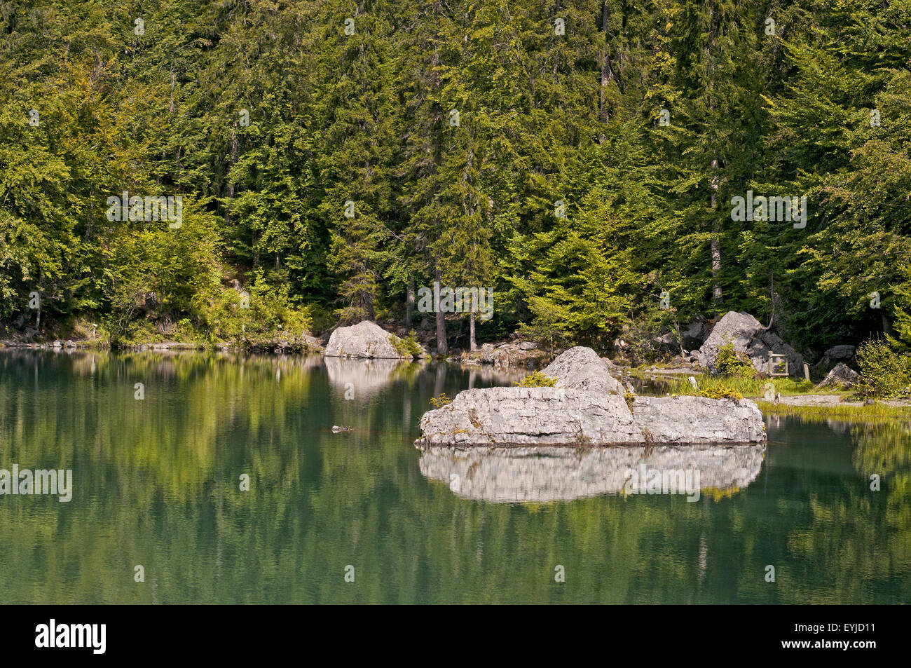 View of Lac Vert. Etroite Valley, with Le Derochoir mount at the ...