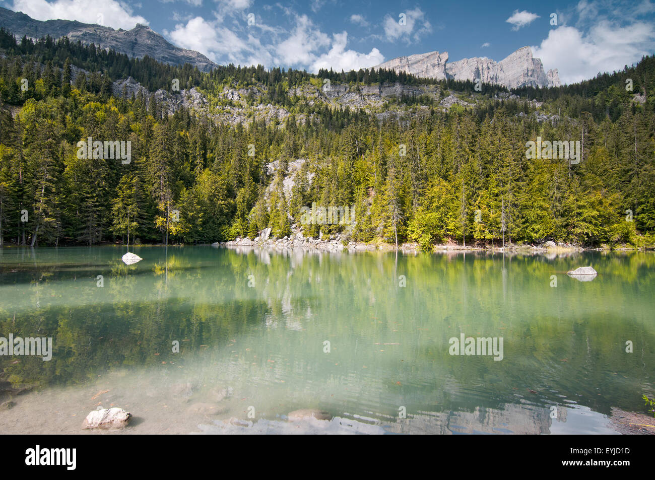 Lac vert france hi-res stock photography and images - Alamy