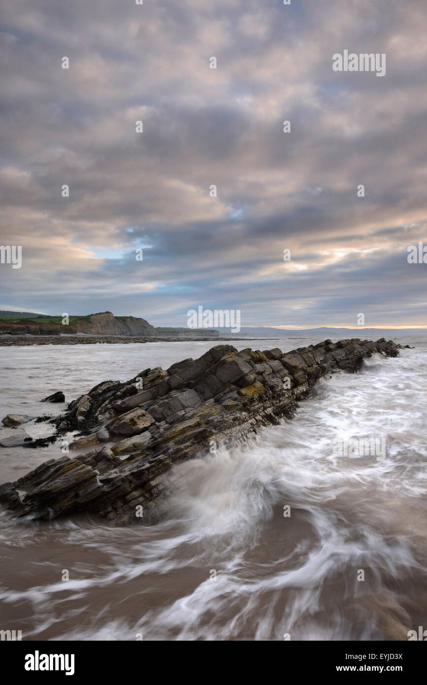 The incoming tide rushing along an outcrop of rock in the sea at Kilve ...