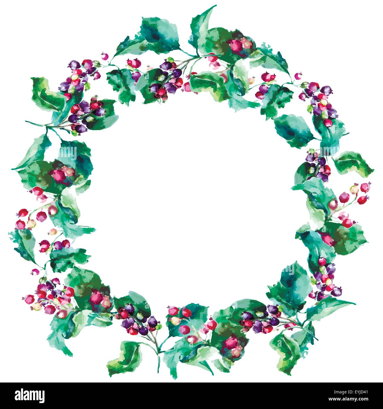 Hawthorn fruit in red Stock Vector Images - Alamy