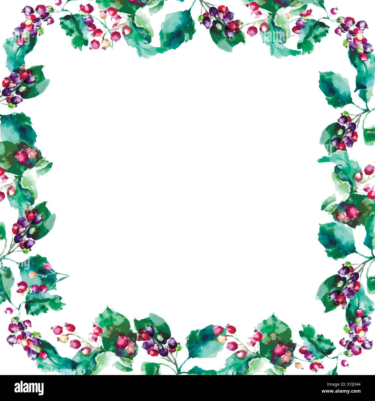 Branch mountain ash tree Stock Vector Images - Alamy