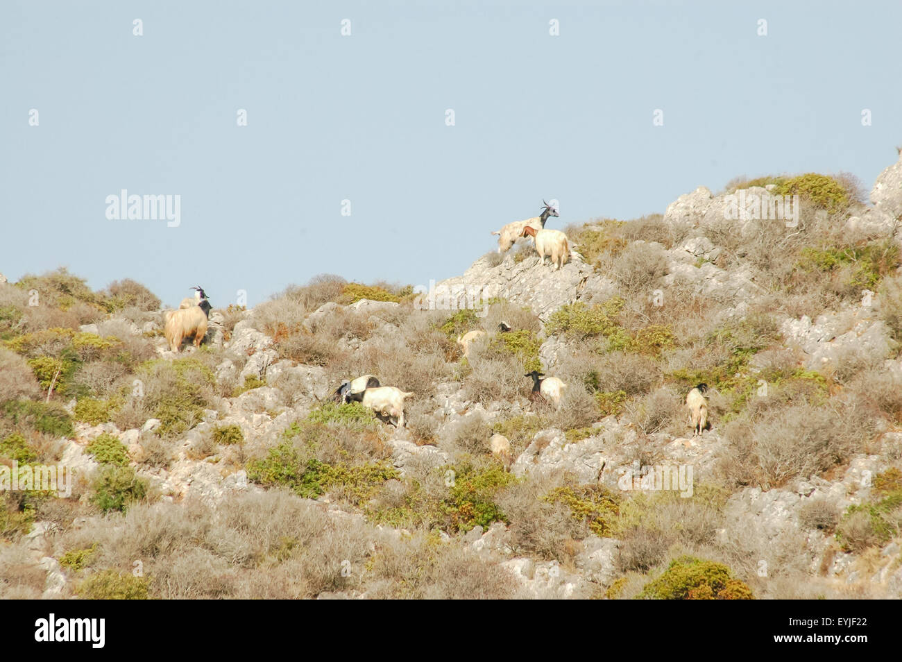 Dry Landscape Countryside Stock Photo - Alamy