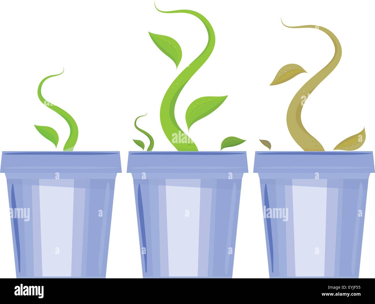 Vector set of flower pots. Shoots and death of plants Stock Vector ...